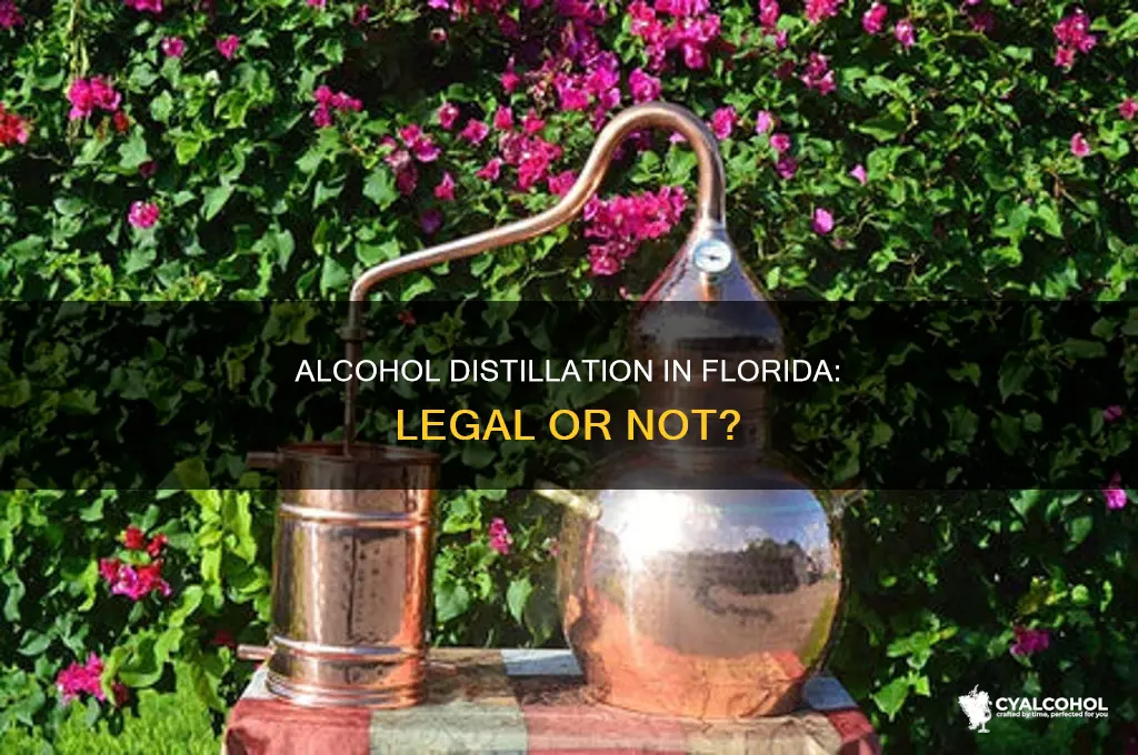 Alcohol Distillation In Florida: Legal Or Not? | CyAlcohol