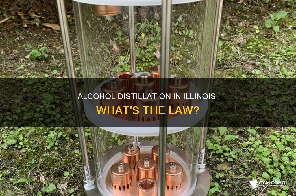 Alcohol Distillation In Illinois: What's The Law? | CyAlcohol