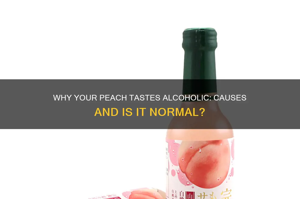 Why Your Peach Tastes Alcoholic: Causes And Is It Normal? | CyAlcohol