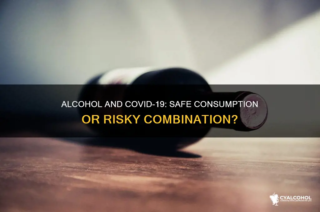Alcohol And Covid-19: Safe Consumption Or Risky Combination? | CyAlcohol