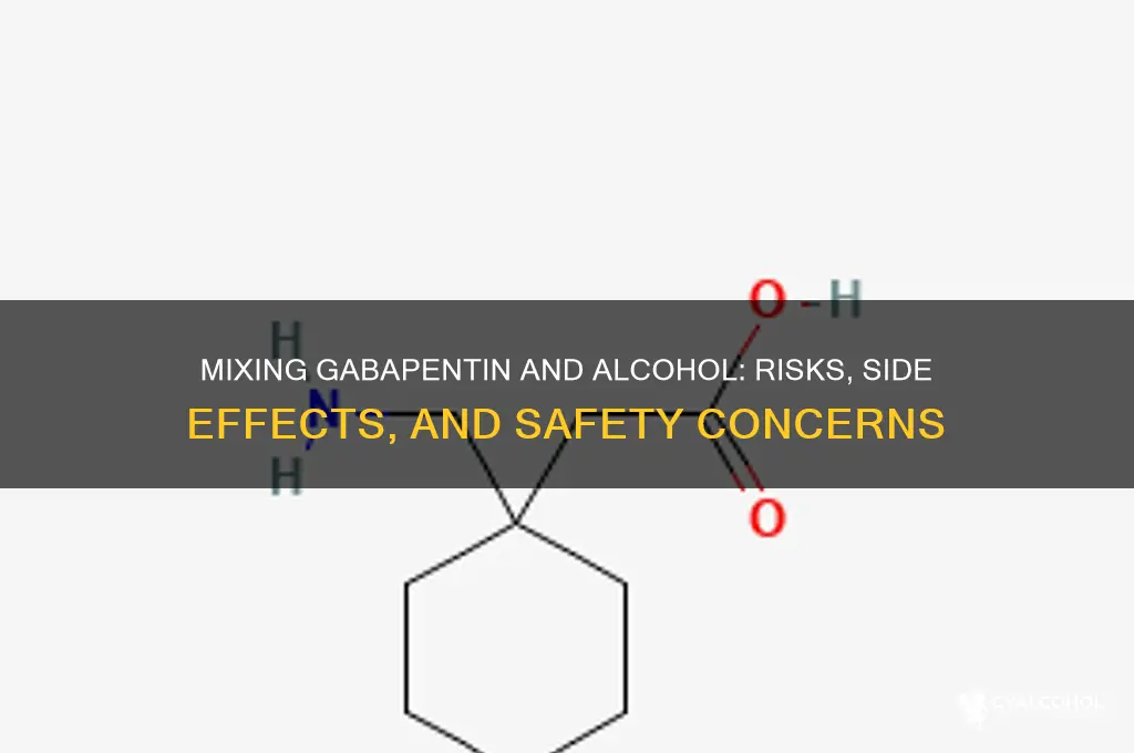 Mixing Gabapentin And Alcohol: Risks, Side Effects, And Safety Concerns ...