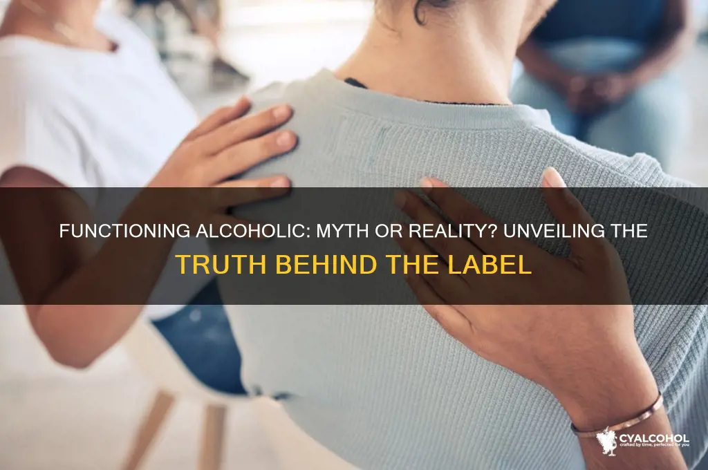 Functioning Alcoholic: Myth Or Reality? Unveiling The Truth Behind The ...