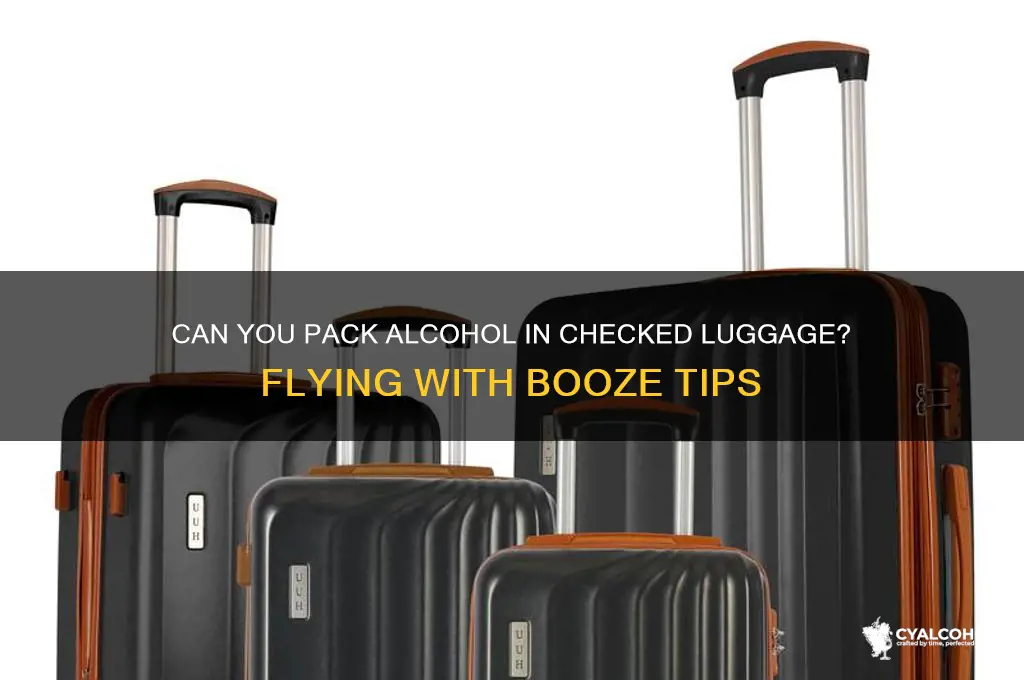 Can You Pack Alcohol In Checked Luggage? Flying With Booze Tips | CyAlcohol