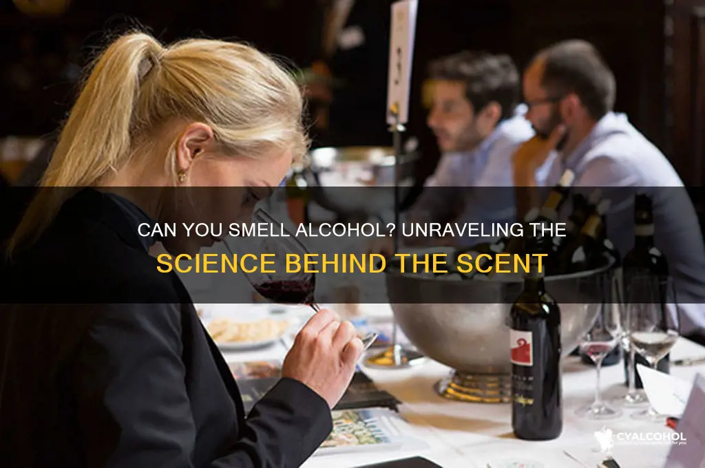 Can You Smell Alcohol? Unraveling The Science Behind The Scent | CyAlcohol