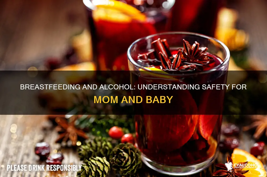 Breastfeeding And Alcohol: Understanding Safety For Mom And Baby ...
