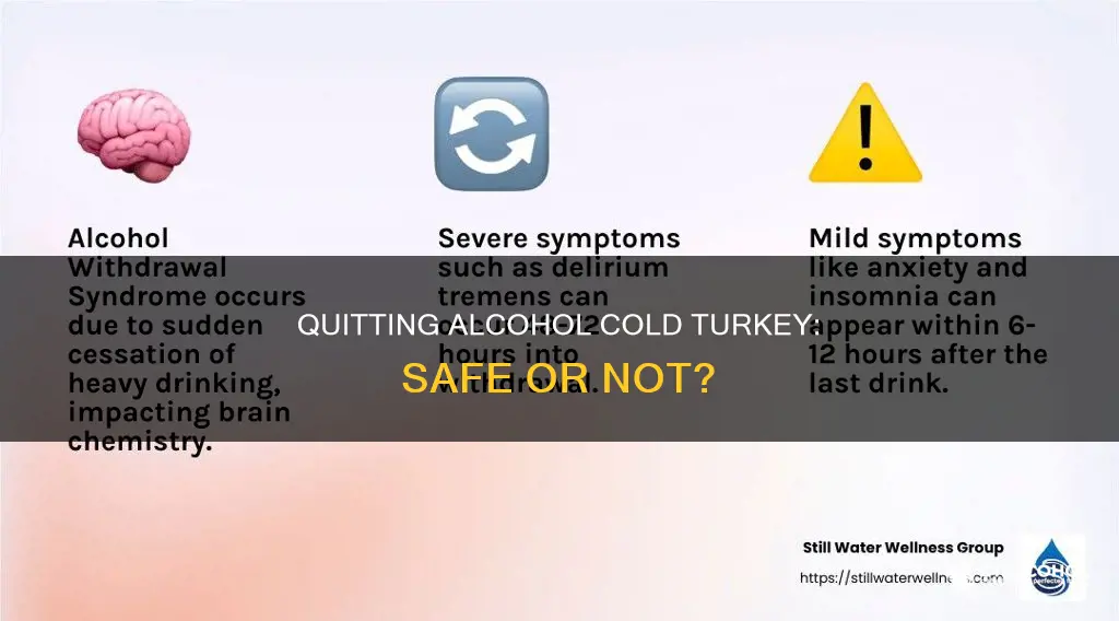 Quitting Alcohol Cold Turkey: Safe Or Not? | CyAlcohol