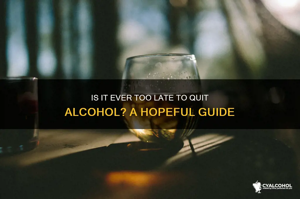 Is It Ever Too Late To Quit Alcohol? A Hopeful Guide | CyAlcohol