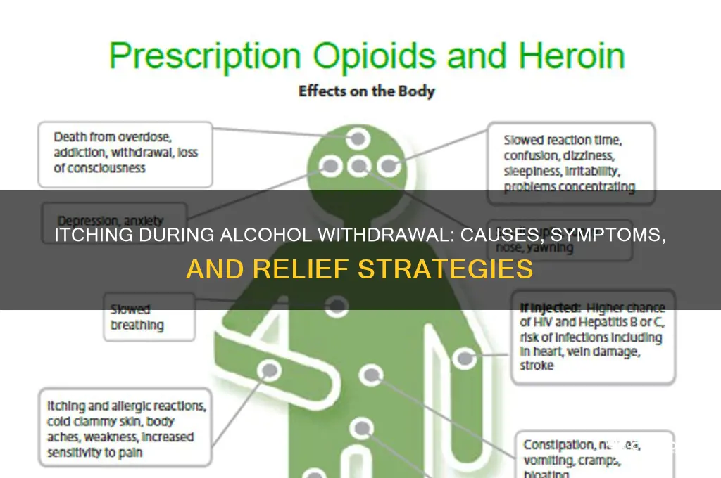 Itching During Alcohol Withdrawal: Causes, Symptoms, And Relief ...
