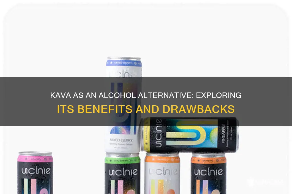 Kava As An Alcohol Alternative: Exploring Its Benefits And Drawbacks ...