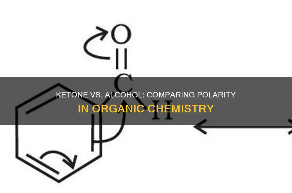 Ketone Vs. Alcohol: Comparing Polarity In Organic Chemistry | CyAlcohol