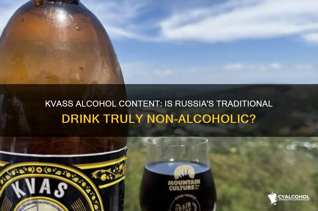 Kvass Alcohol Content: Is Russia's Traditional Drink Truly Non ...