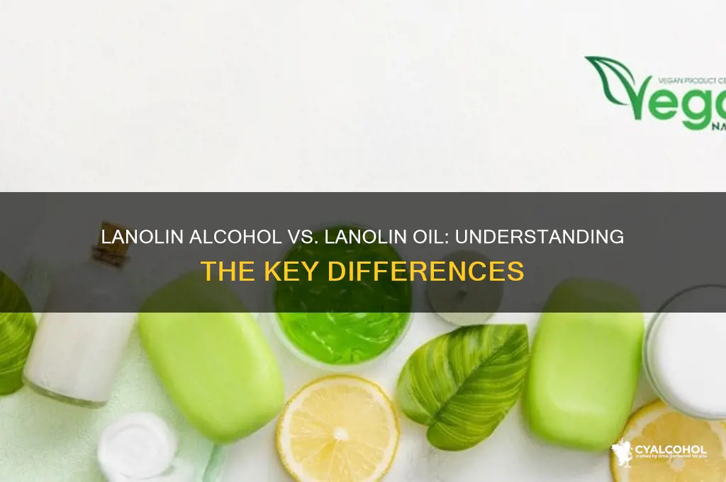 Lanolin Alcohol Vs. Lanolin Oil: Understanding The Key Differences ...