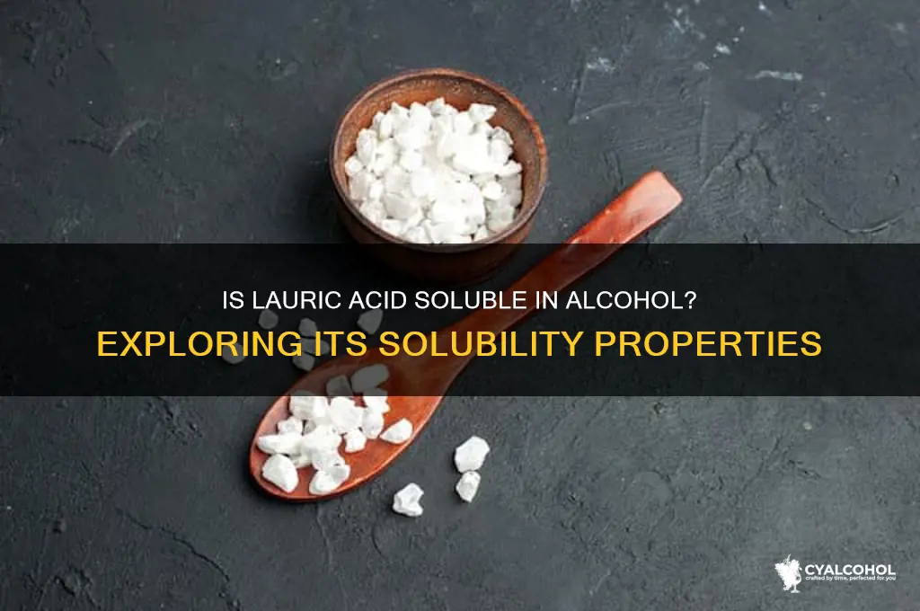 Is Lauric Acid Soluble In Alcohol? Exploring Its Solubility Properties ...
