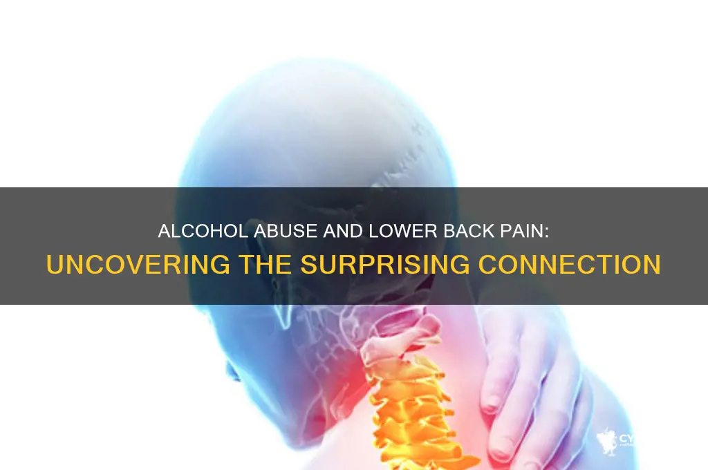 Alcohol Abuse And Lower Back Pain: Uncovering The Surprising Connection ...