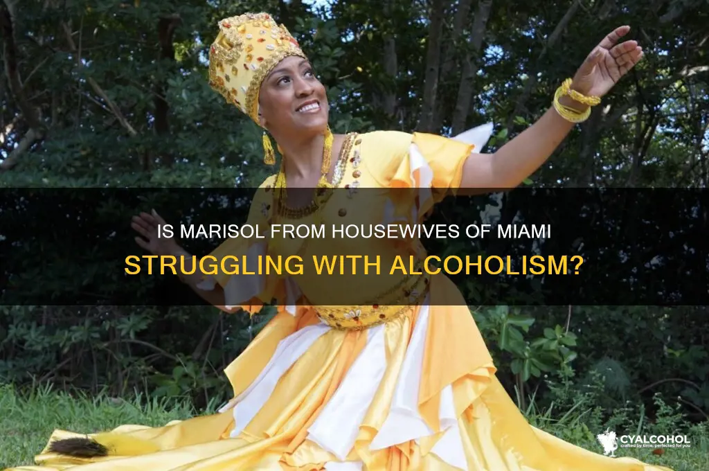 Is Marisol From Housewives Of Miami Struggling With Alcoholism? | CyAlcohol