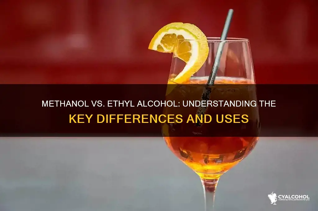 Methanol Vs. Ethyl Alcohol: Understanding The Key Differences And Uses ...