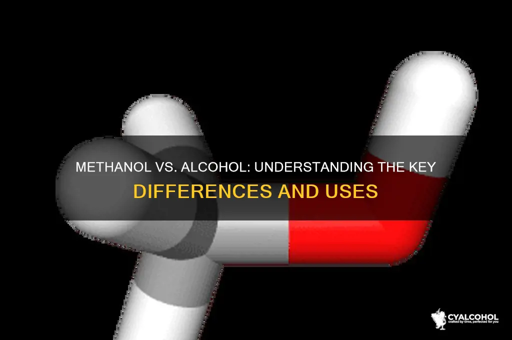 Methanol Vs. Alcohol: Understanding The Key Differences And Uses ...