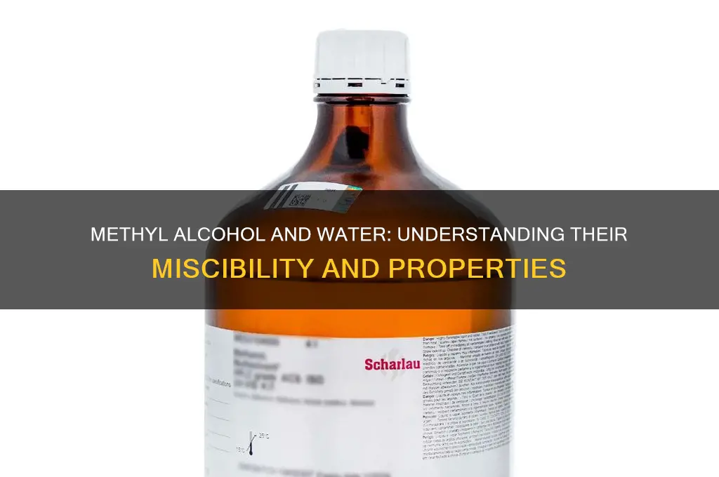 Methyl Alcohol And Water: Understanding Their Miscibility And ...