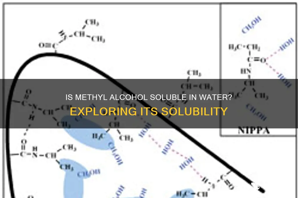 Is Methyl Alcohol Soluble In Water? Exploring Its Solubility | CyAlcohol