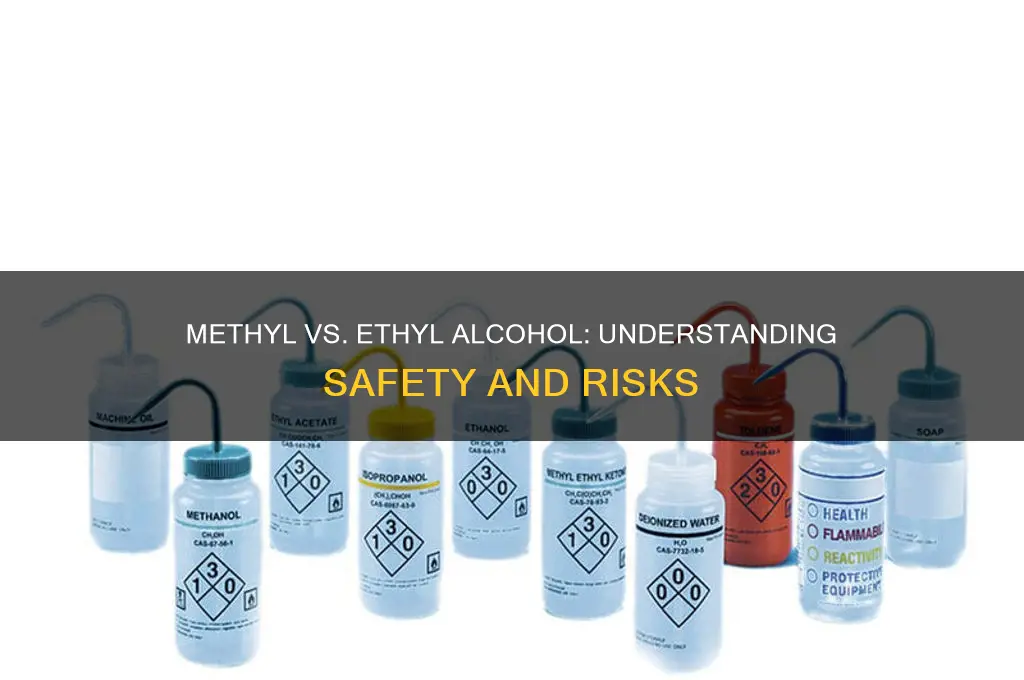 Methyl Vs. Ethyl Alcohol: Understanding Safety And Risks | CyAlcohol