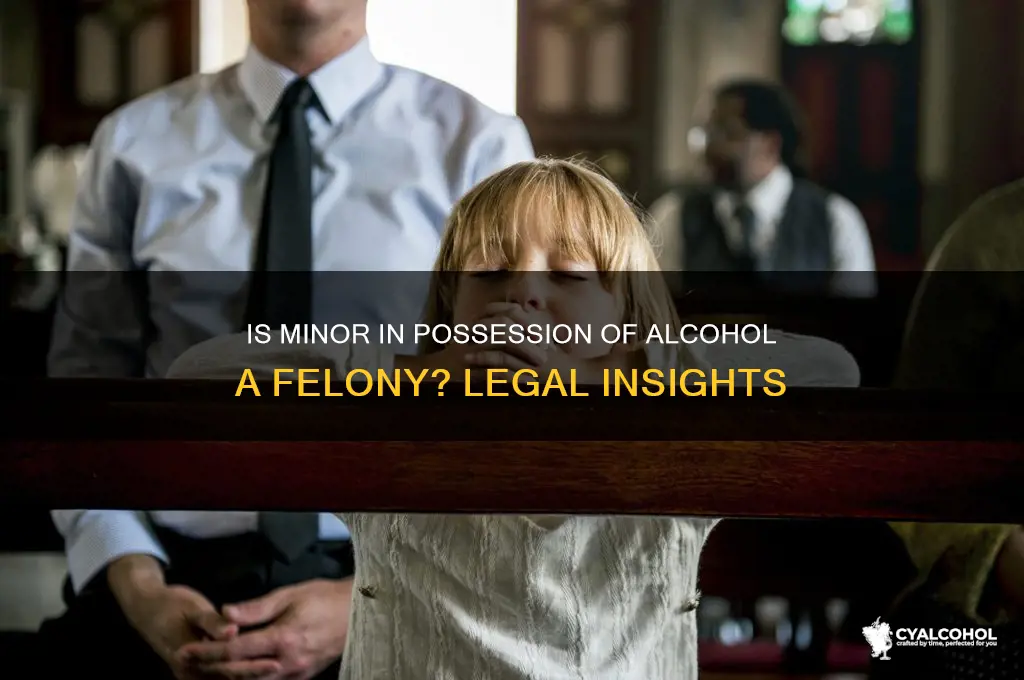 Is Minor In Possession Of Alcohol A Felony? Legal Insights | CyAlcohol