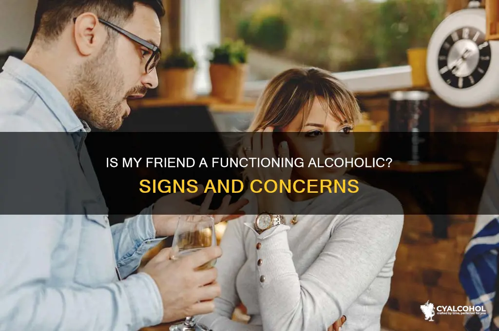 Is My Friend A Functioning Alcoholic? Signs And Concerns | CyAlcohol