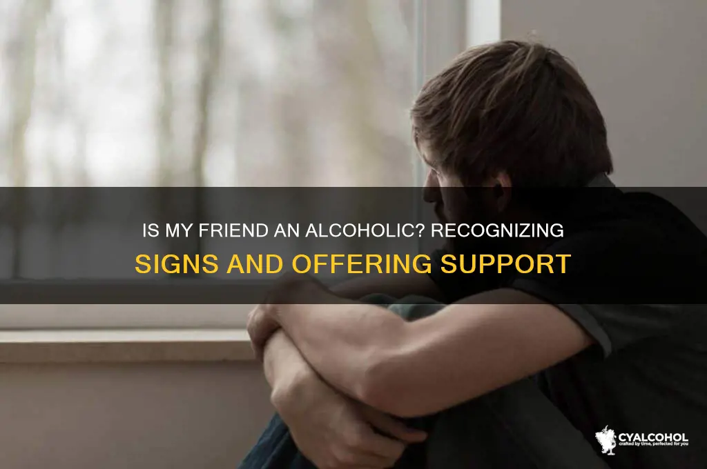Is My Friend An Alcoholic? Recognizing Signs And Offering Support ...