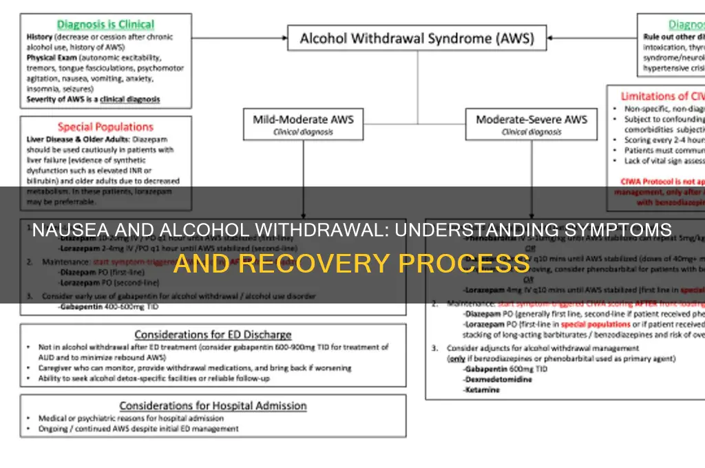 Nausea And Alcohol Withdrawal: Understanding Symptoms And Recovery ...