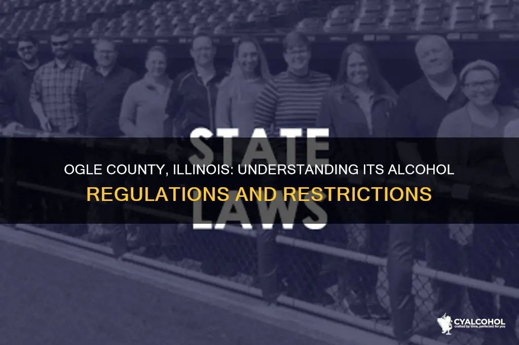 Ogle County, Illinois: Understanding Its Alcohol Regulations And ...