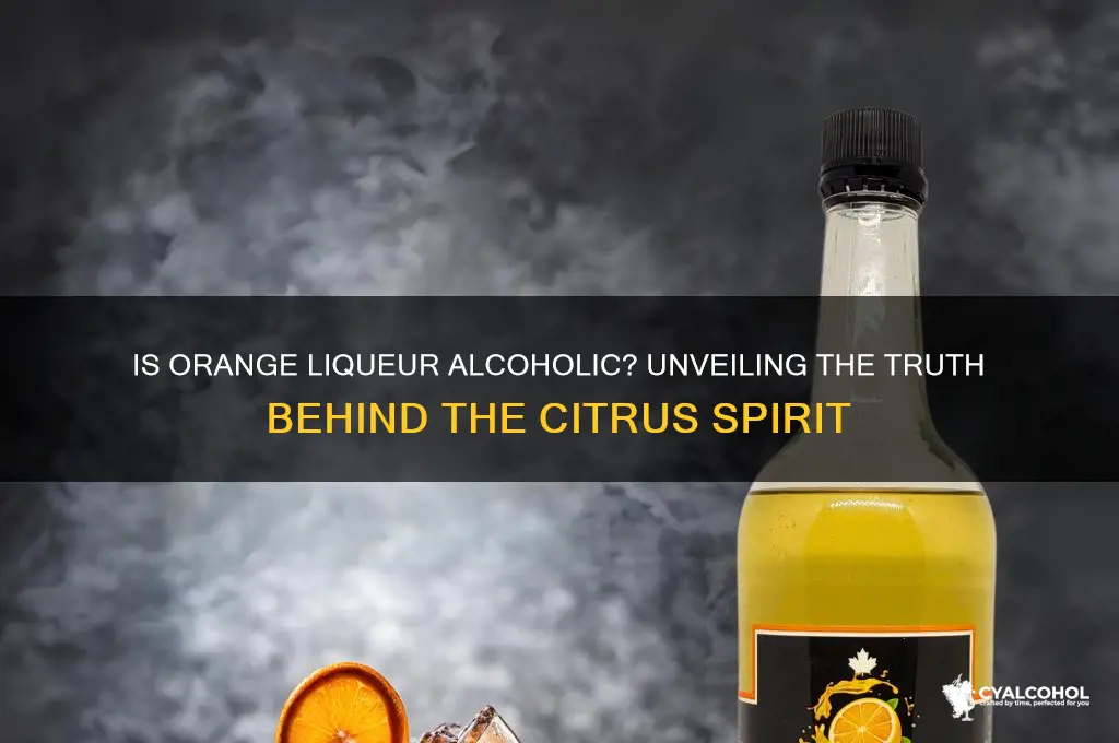 Is Orange Liqueur Alcoholic? Unveiling The Truth Behind The Citrus ...