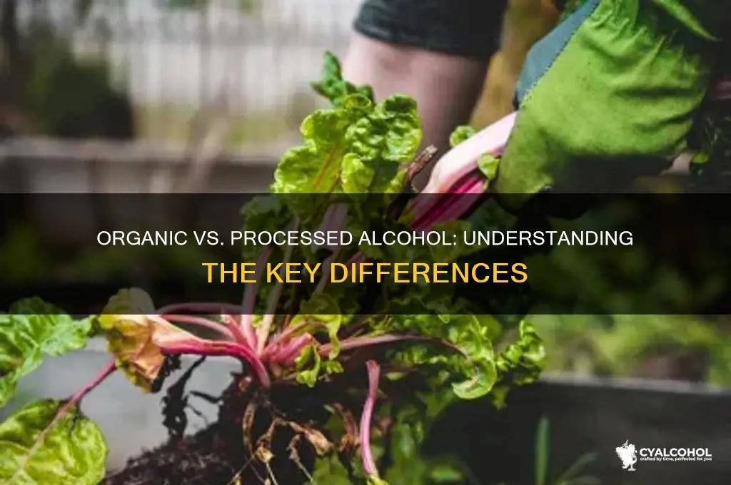 Organic Vs. Processed Alcohol: Understanding The Key Differences ...