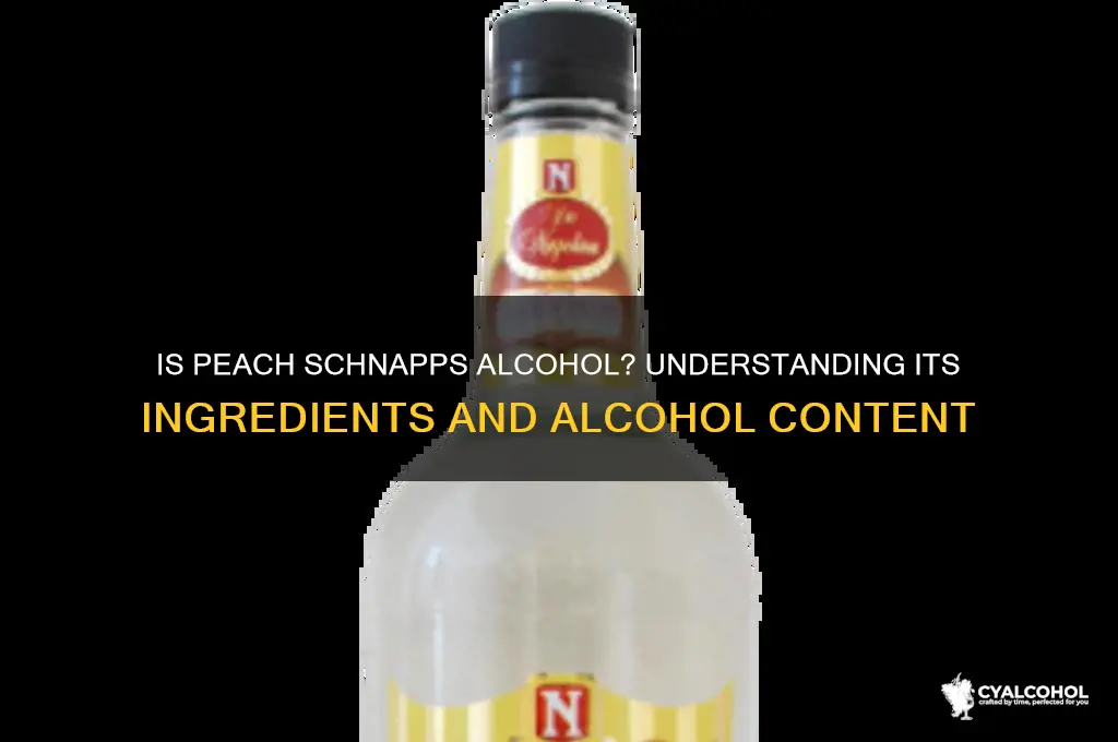 Is Peach Schnapps Alcohol? Understanding Its Ingredients And Alcohol ...