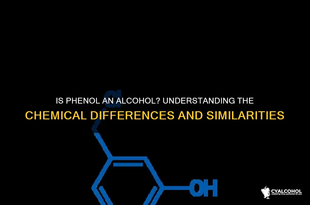 Is Phenol An Alcohol? Understanding The Chemical Differences And ...