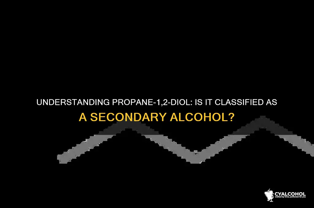 Understanding Propane-1,2-Diol: Is It Classified As A Secondary Alcohol ...