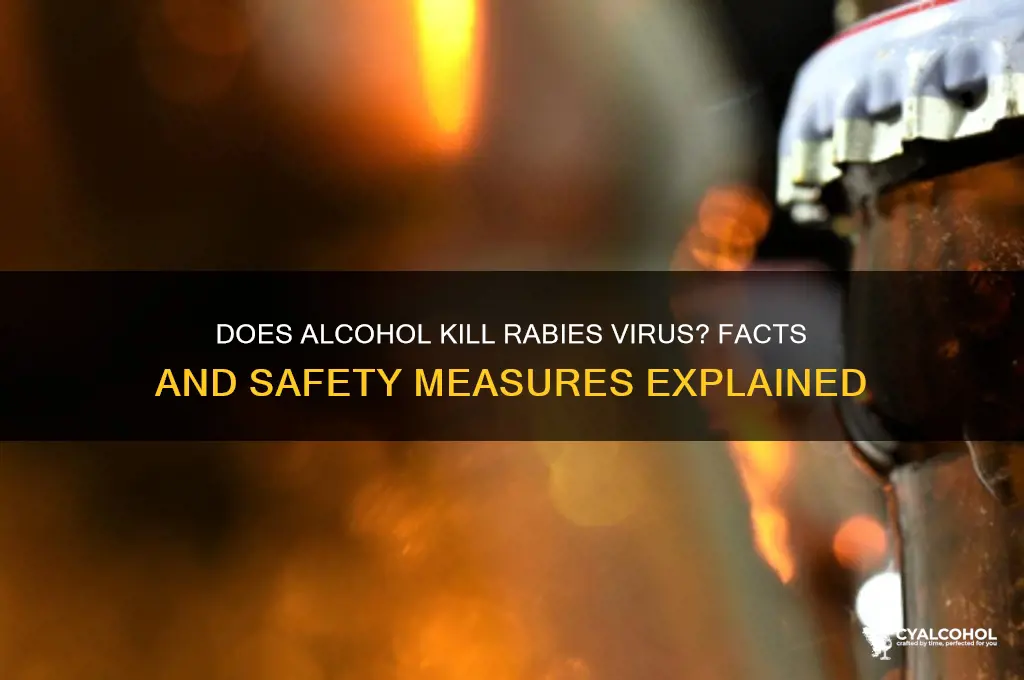 Does Alcohol Kill Rabies Virus? Facts And Safety Measures Explained ...