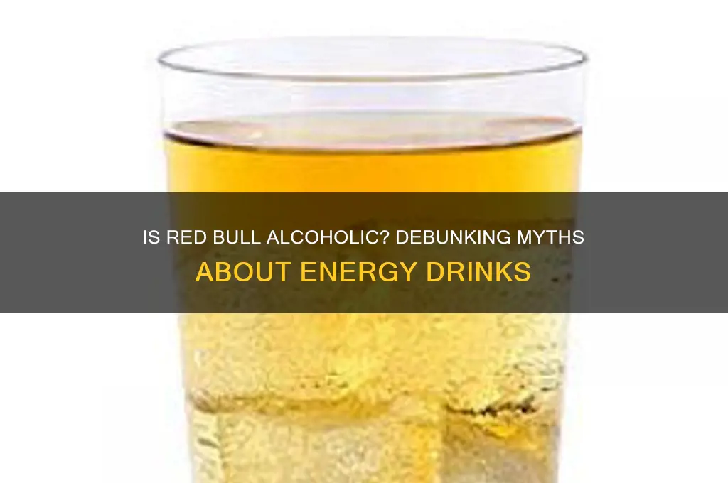Is Red Bull Alcoholic? Debunking Myths About Energy Drinks | CyAlcohol