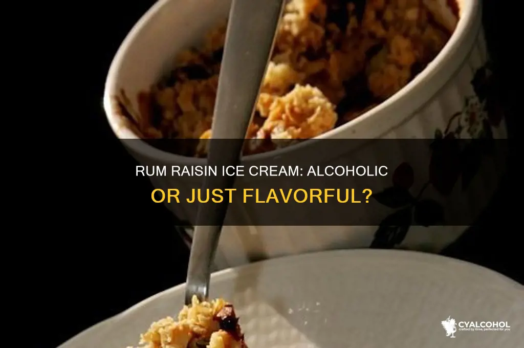 Rum Raisin Ice Cream: Alcoholic Or Just Flavorful? | CyAlcohol