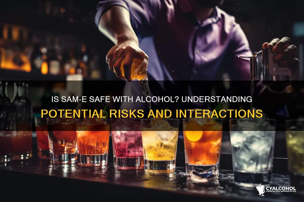 Is Sam-E Safe With Alcohol? Understanding Potential Risks And ...
