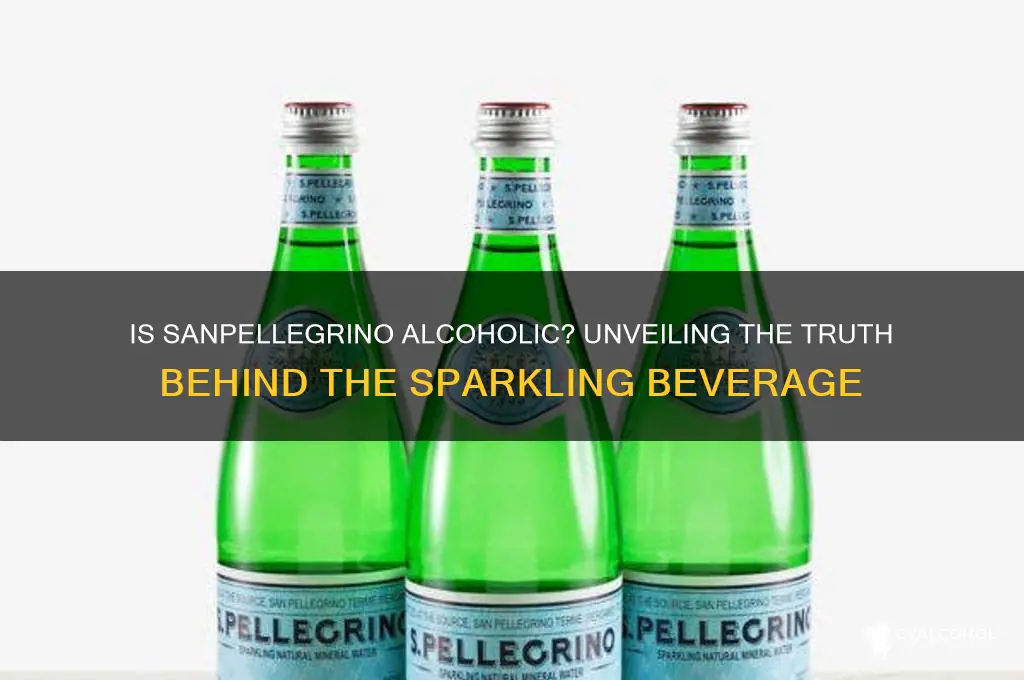 Is Sanpellegrino Alcoholic? Unveiling The Truth Behind The Sparkling ...