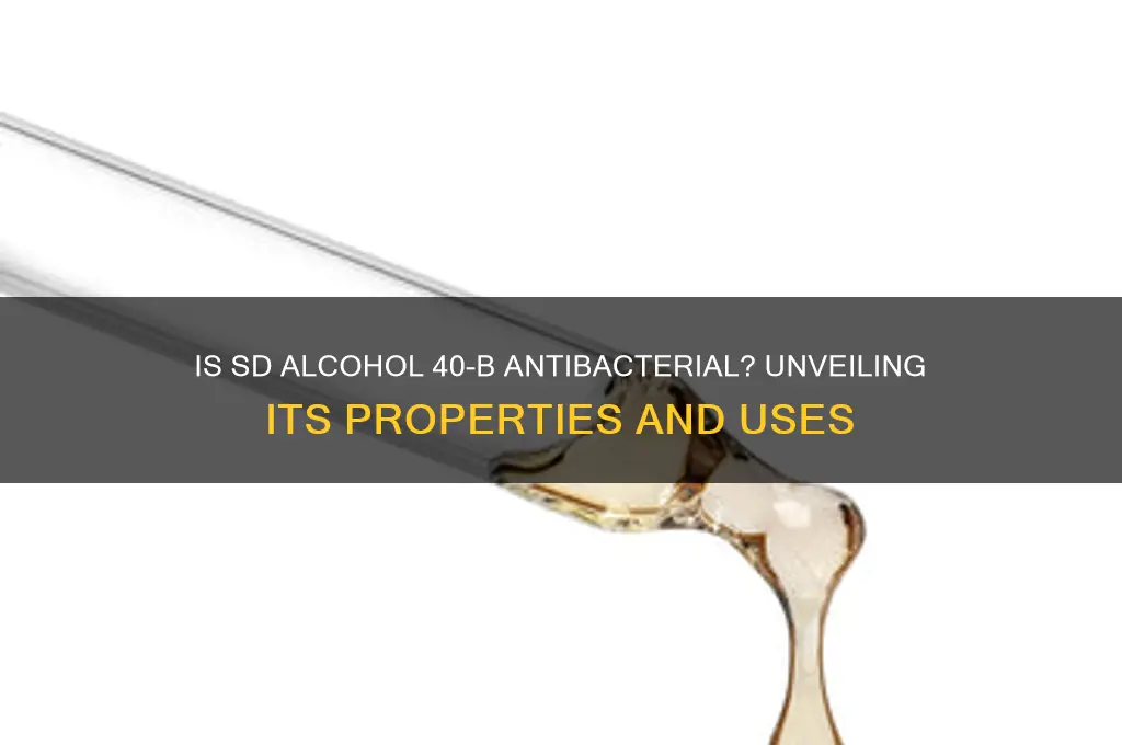 Is Sd Alcohol 40-B Antibacterial? Unveiling Its Properties And Uses ...