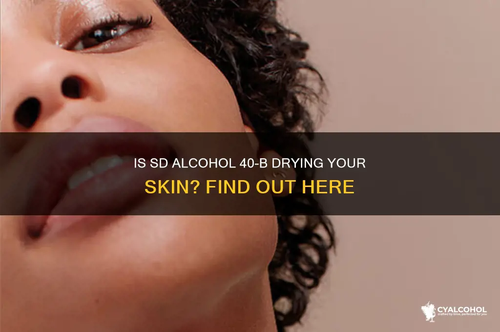 Is Sd Alcohol 40-B Drying Your Skin? Find Out Here | CyAlcohol