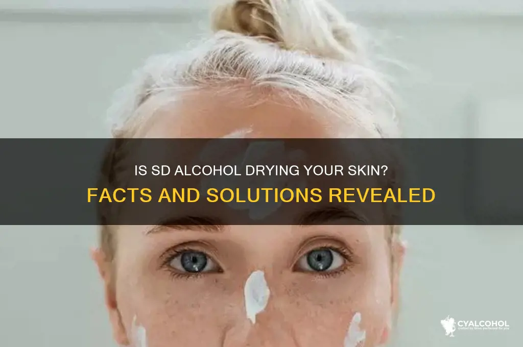 Is Sd Alcohol Drying Your Skin? Facts And Solutions Revealed | CyAlcohol
