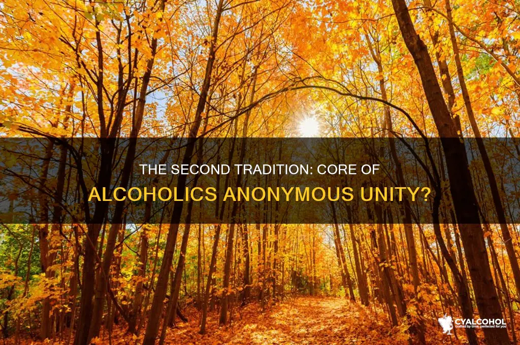 The Second Tradition: Core Of Alcoholics Anonymous Unity? | CyAlcohol