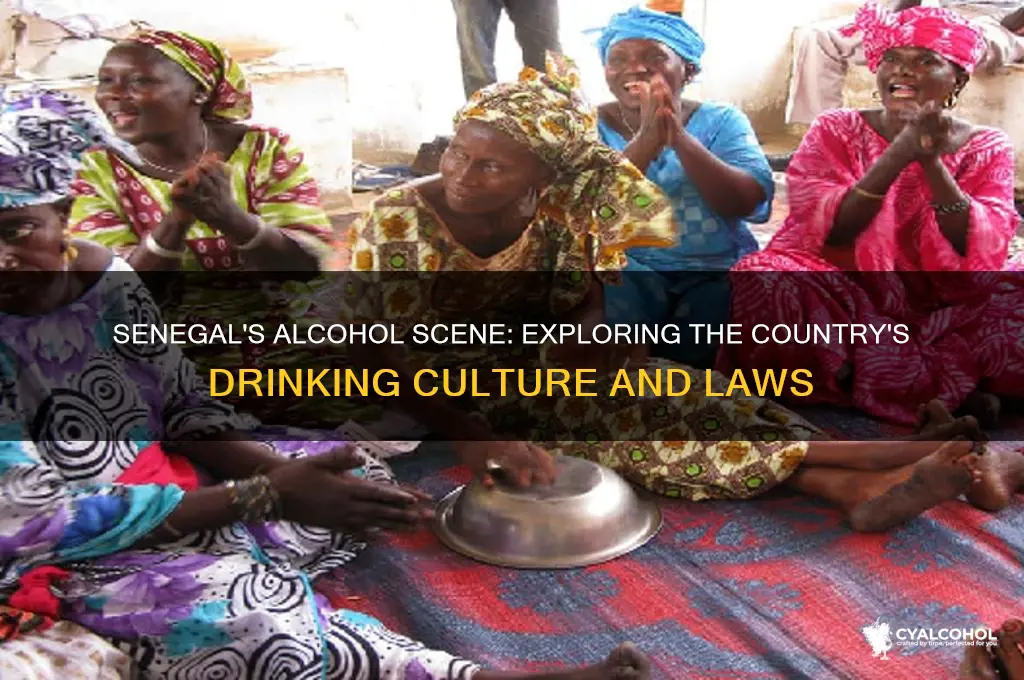 Senegal's Alcohol Scene: Exploring The Country's Drinking Culture And ...