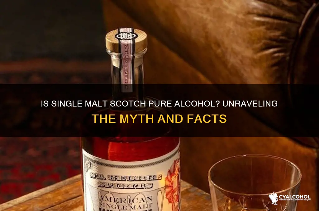 Is Single Malt Scotch Pure Alcohol? Unraveling The Myth And Facts ...