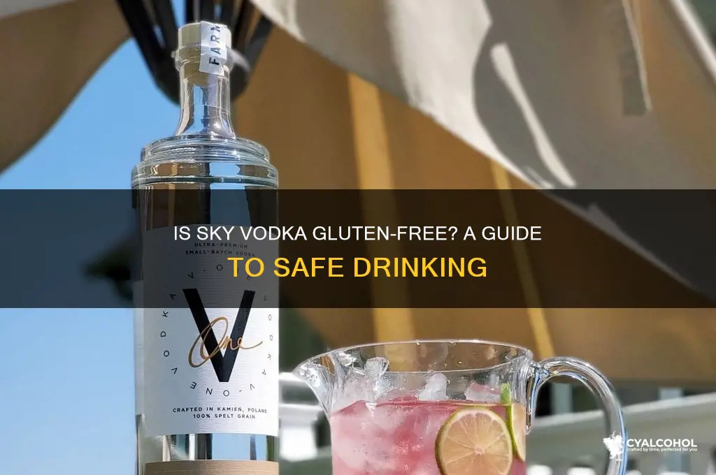 Is Sky Vodka Gluten-Free? A Guide To Safe Drinking | CyAlcohol