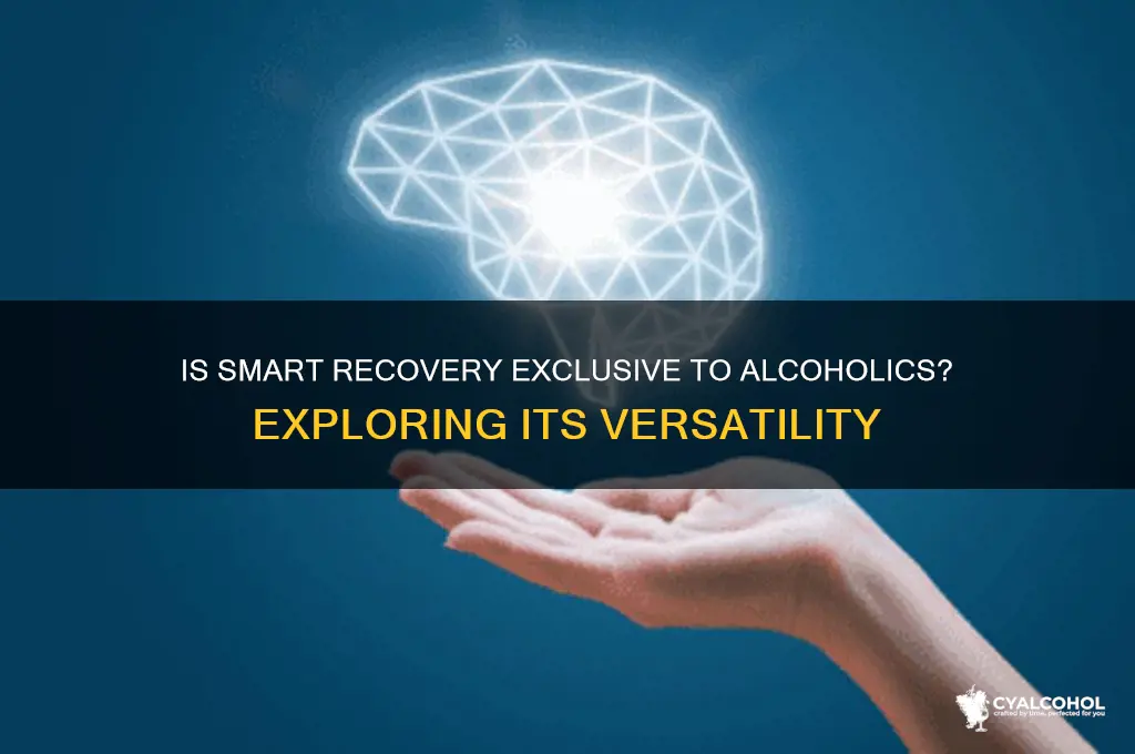Is Smart Recovery Exclusive To Alcoholics? Exploring Its Versatility ...