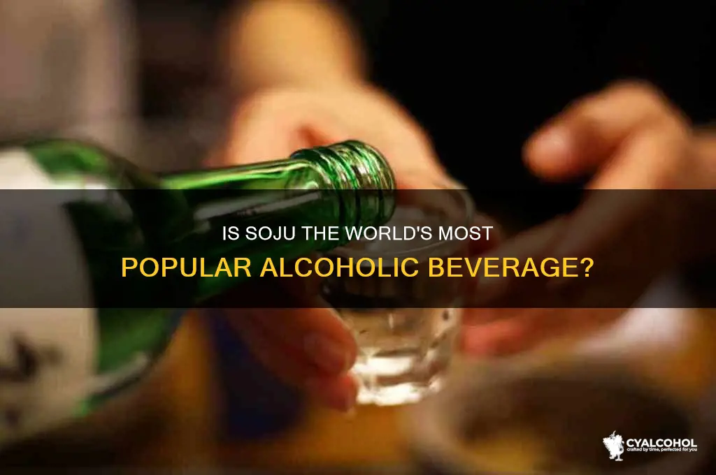 Is Soju The World's Most Popular Alcoholic Beverage? | CyAlcohol