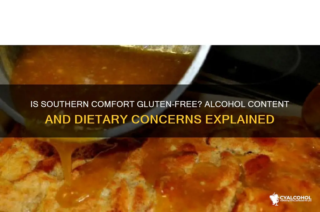 Is Southern Comfort Gluten-Free? Alcohol Content And Dietary Concerns ...