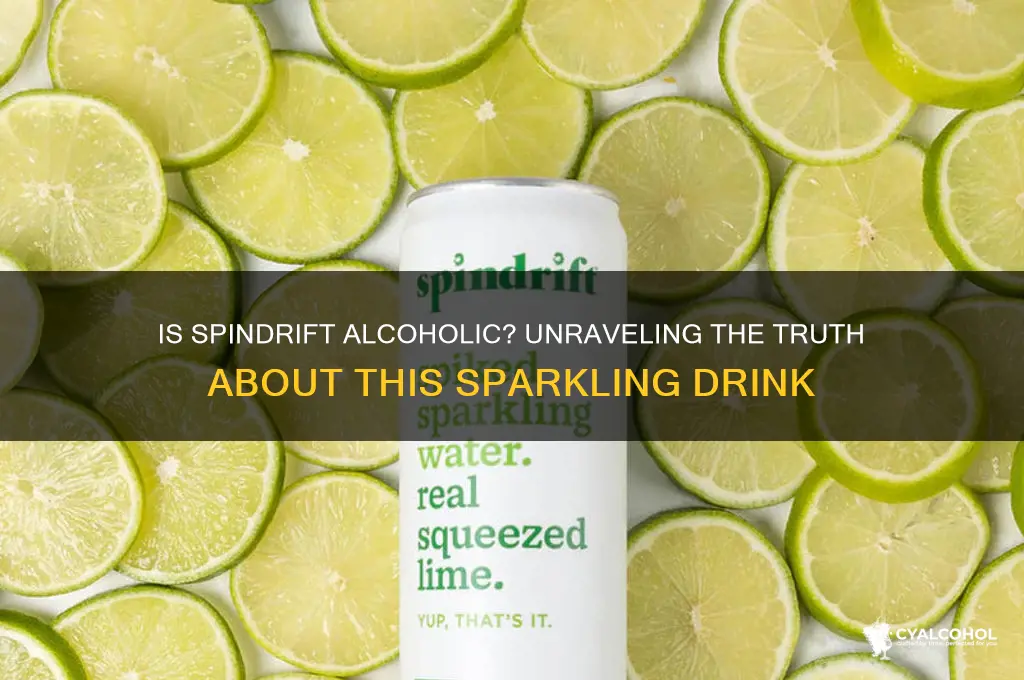 Is Spindrift Alcoholic? Unraveling The Truth About This Sparkling Drink ...